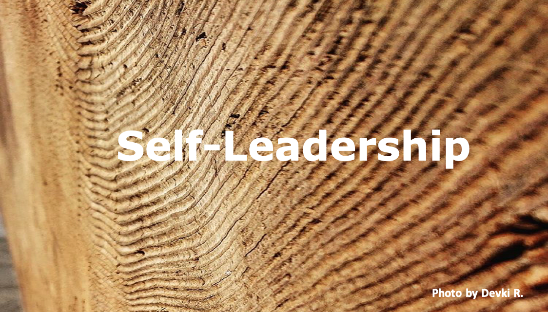 Self-Leadership – MindKatalysts AB